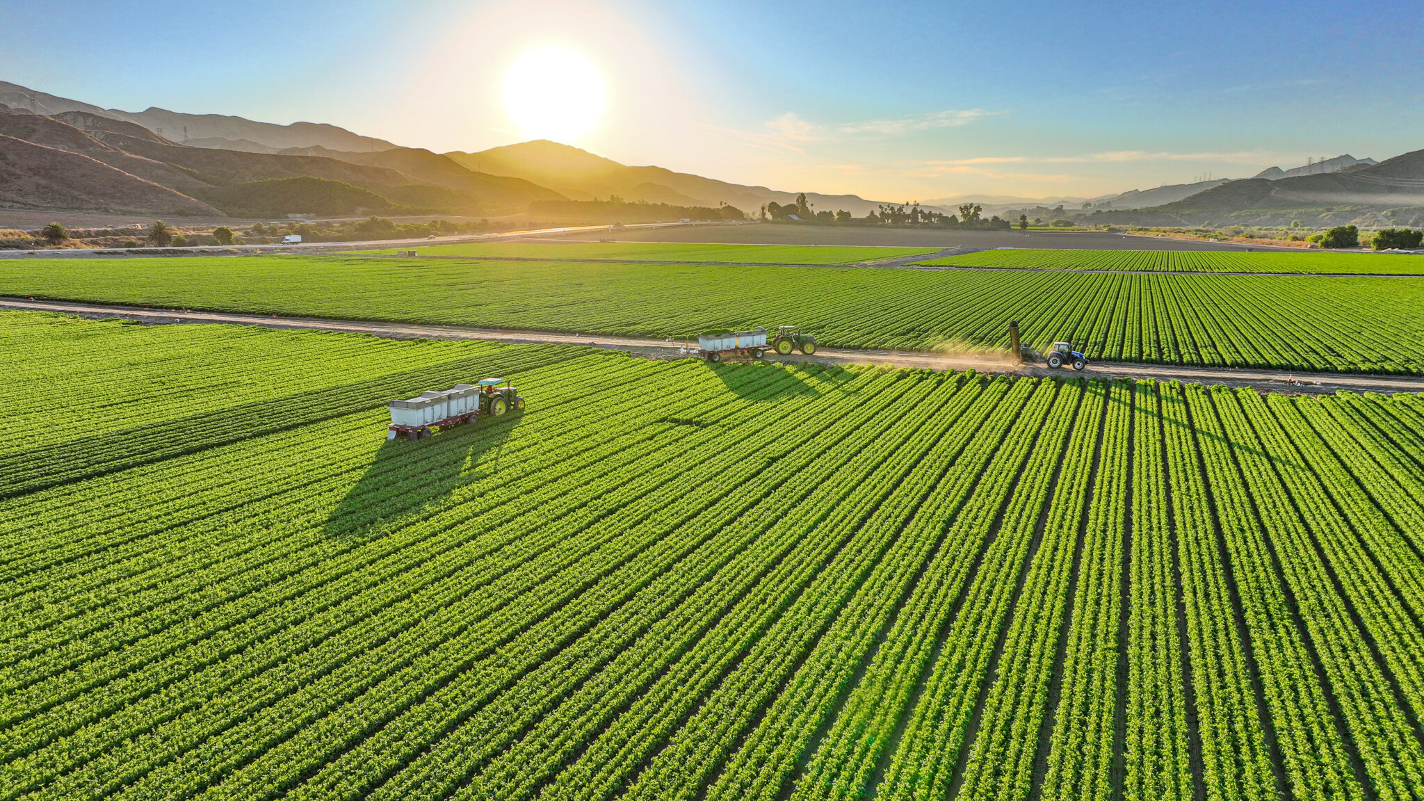 Meet The CEO – Tim Shoemake | SupHerb Farms